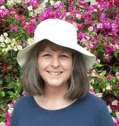 Susan Bauer - Official Website